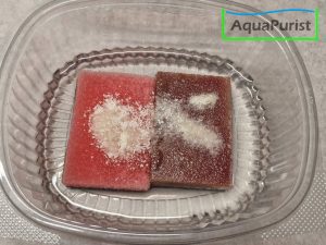 Dero digitata - Mikrofex - Deroworms - Lebendfutter Zuchtansatz ...